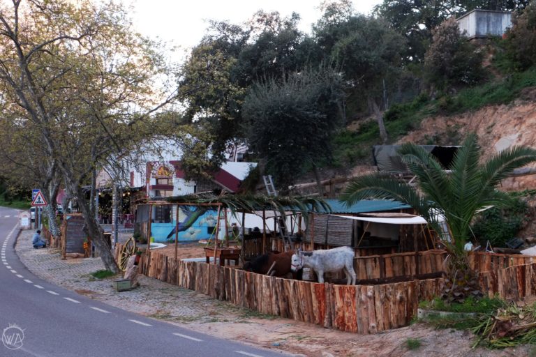 The best beaches and fun things to do in Algarve, Portugal - Worldering ...