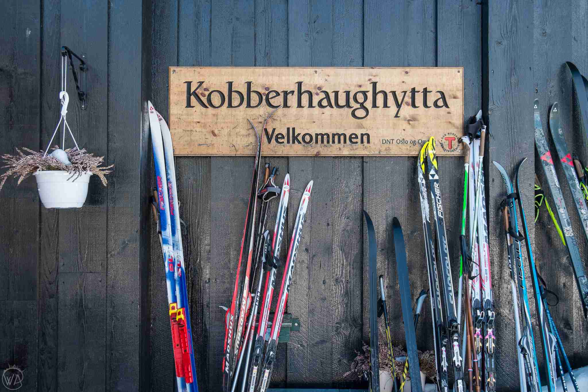 Hiking In Oslo & Around - 16 Best Oslo Hiking Trails With Panoramic Views