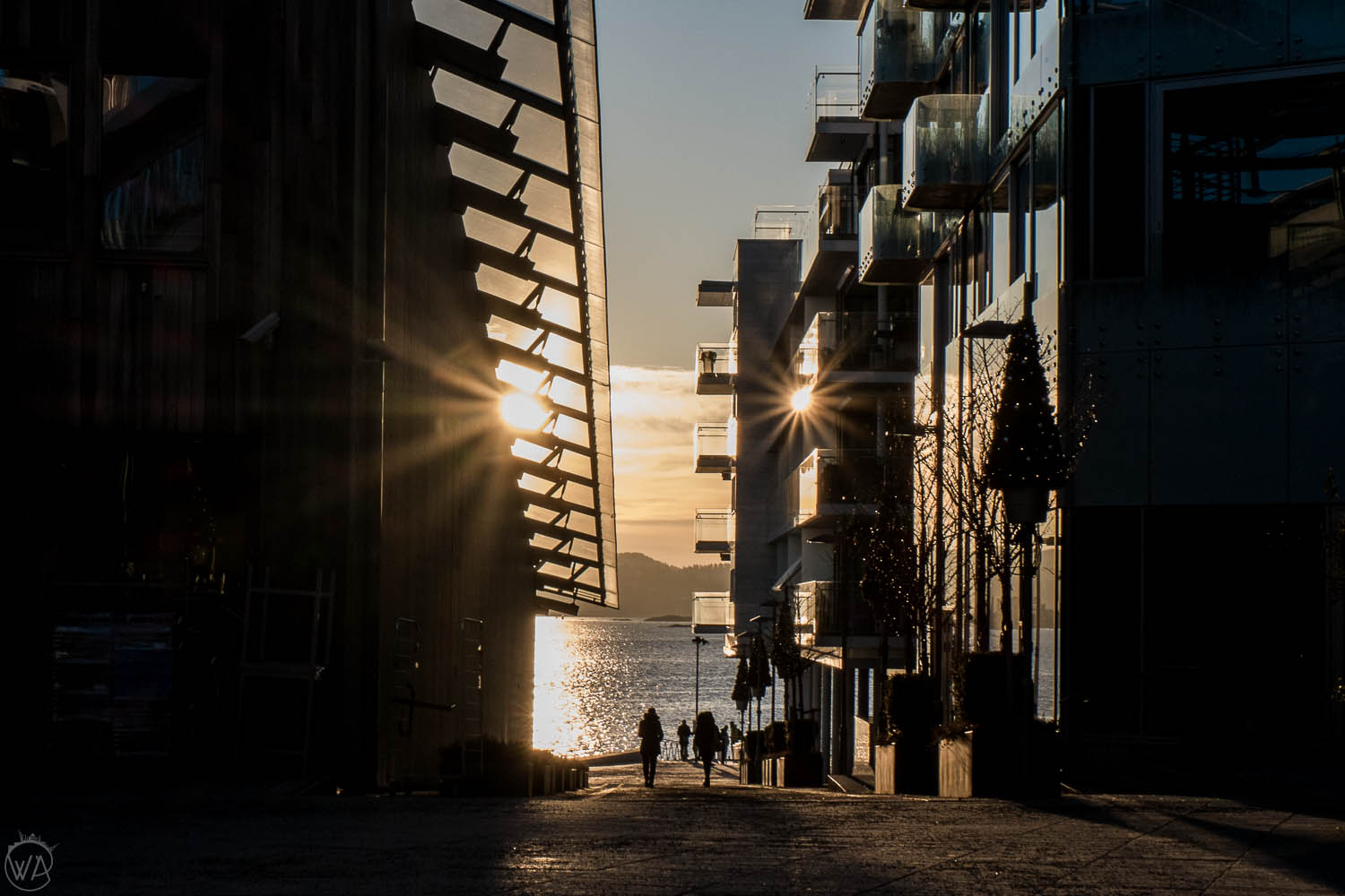 Fun & Unique Things to Do in Oslo in Winter (By a Local)