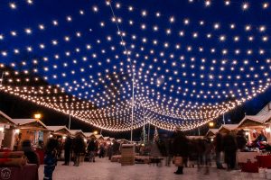 Fun & Unique Things to Do in Oslo in Winter (By a Local)
