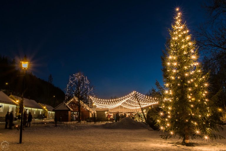 Fun & Unique Things to Do in Oslo in Winter (By a Local)