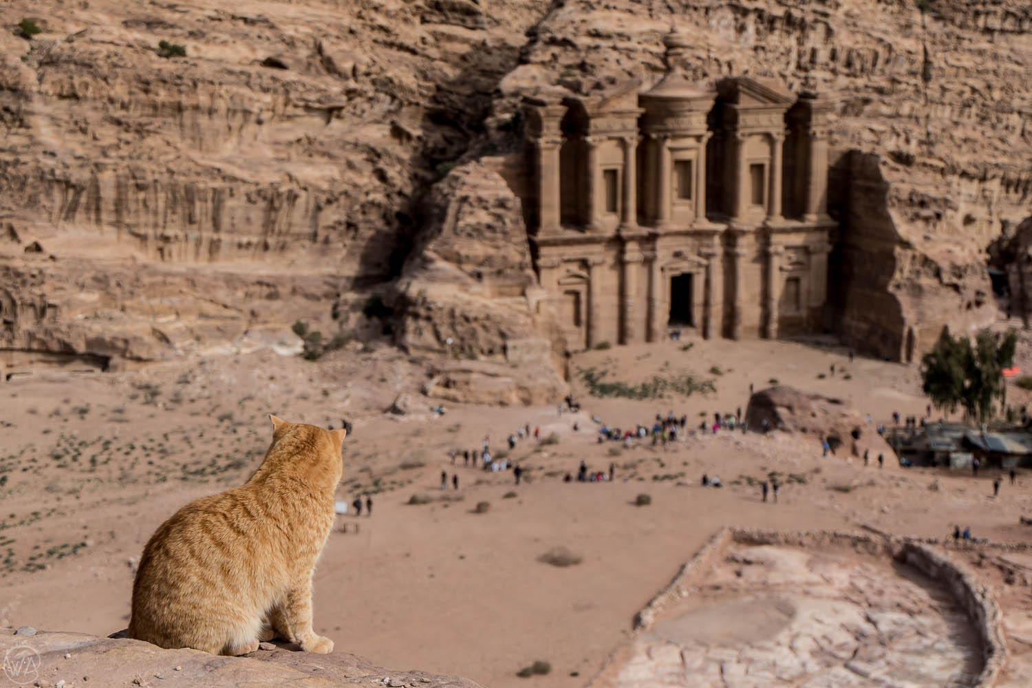 Petra Jordania - Najlepsze Widoki + Lokalizacja, Mapa Petry i Zdjęcia ...