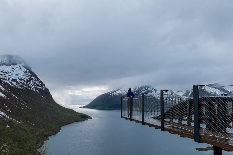 The Best Things To Do In Senja, Norway - A Unique Island In The North ...