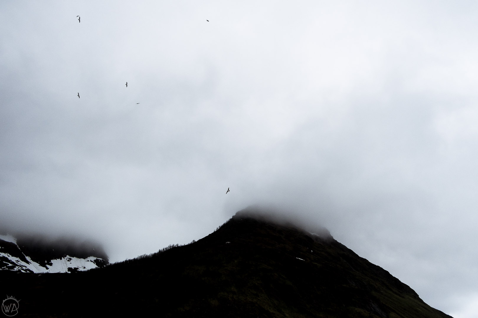 5 Reasons To Visit Senja Norway - Lesser-Known Island in Norway