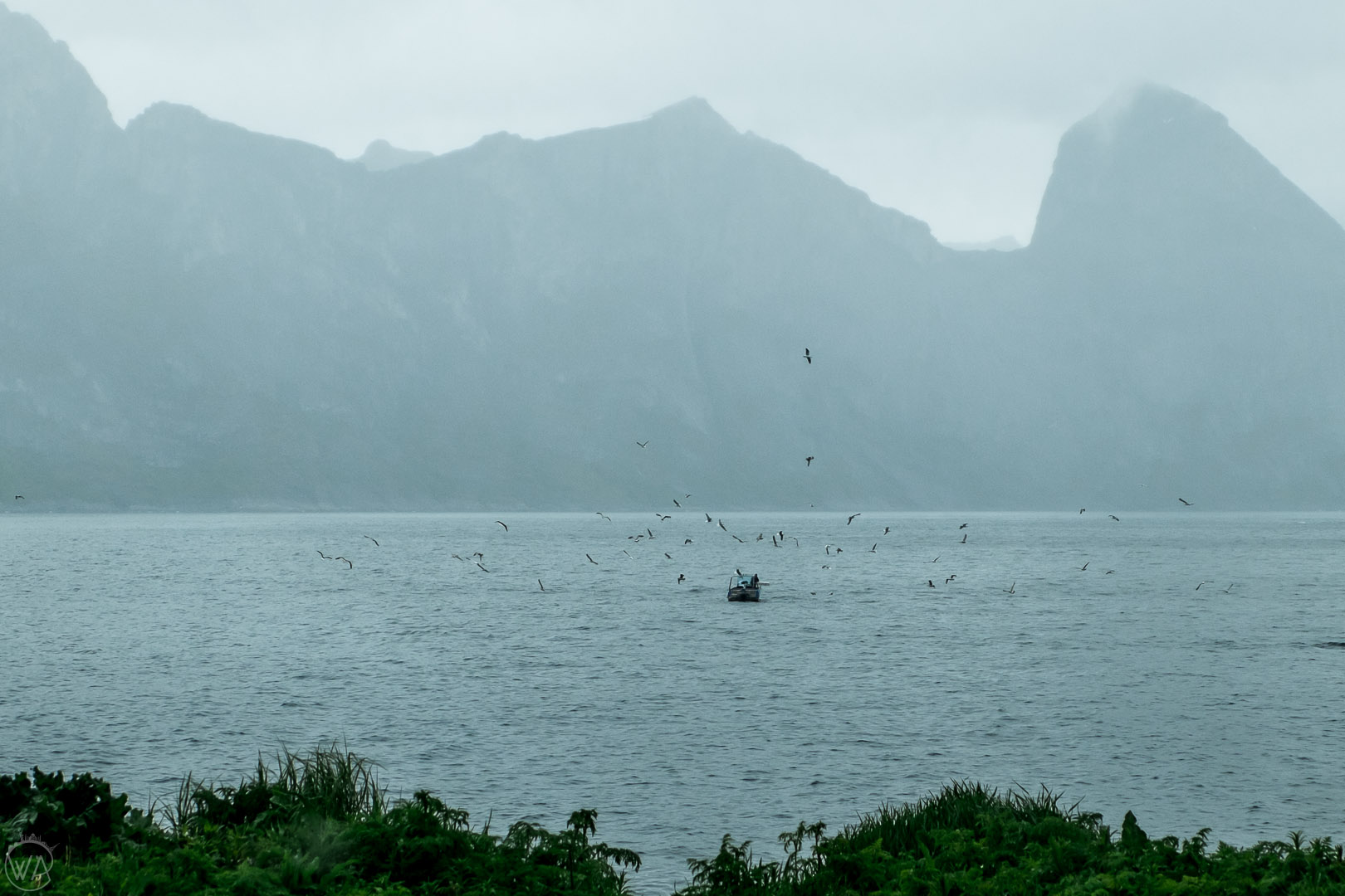 The Best Things To Do In Senja, Norway - A Unique Island In The North ...