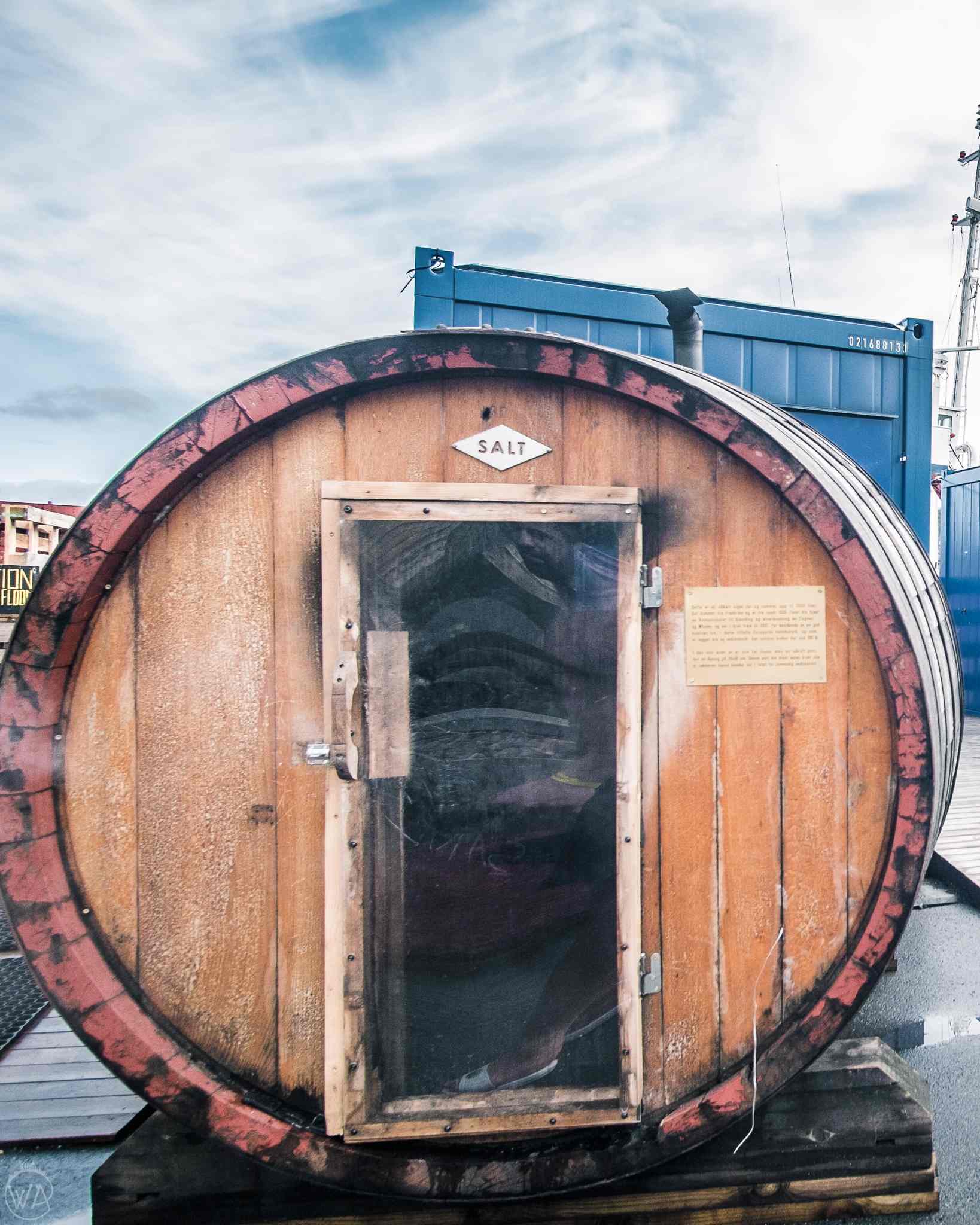 Fun & Unique Things to Do in Oslo in Winter (By a Local)