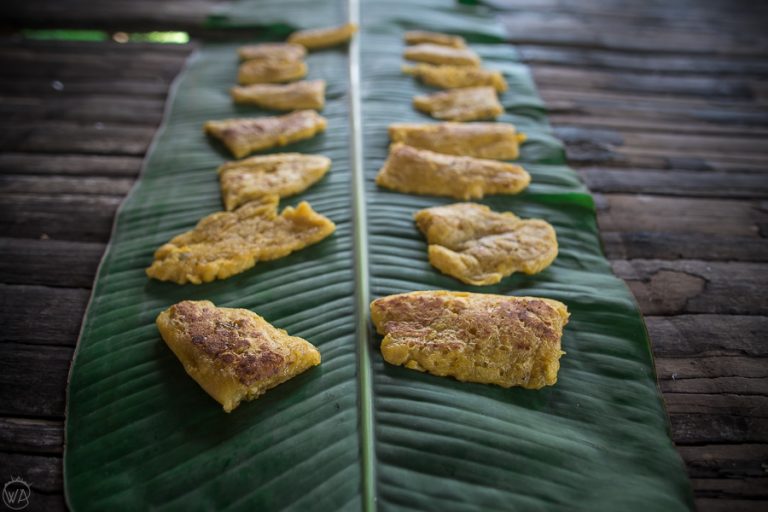 Ecuador Amazon Tour Review - Ecotourism & Adventure in Cuyabeno ...