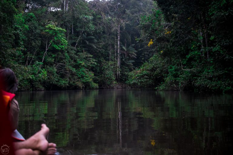 Ecuador Amazon Tour Review - Ecotourism & Adventure in Cuyabeno ...