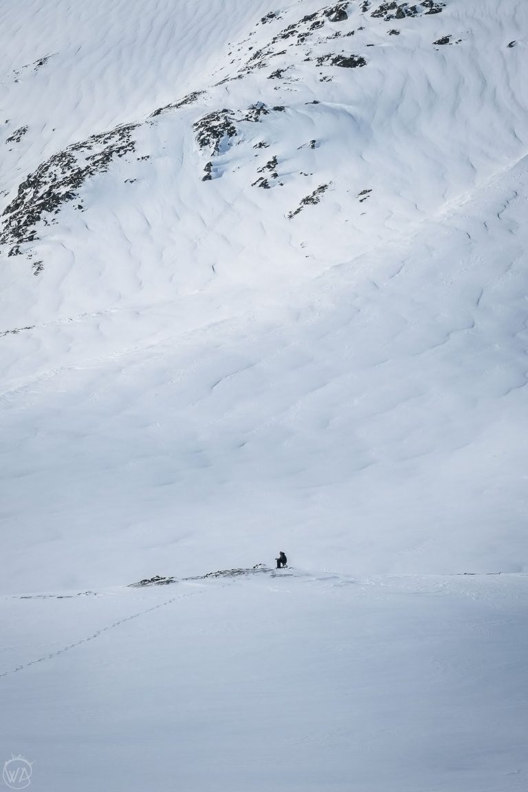 21 Unmissable Things To Do In Tromso In Winter - Worldering around