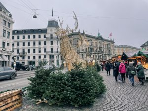 The Absolutely Best Things To Do In Copenhagen In Winter - Denmark